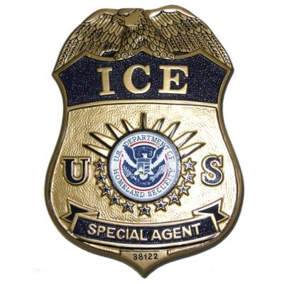 Immigration Customs Enforcement Special Agent Badge Plaque