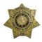 Harris County TX. Sheriffs Office Badge Mahogany Wall Plaque
