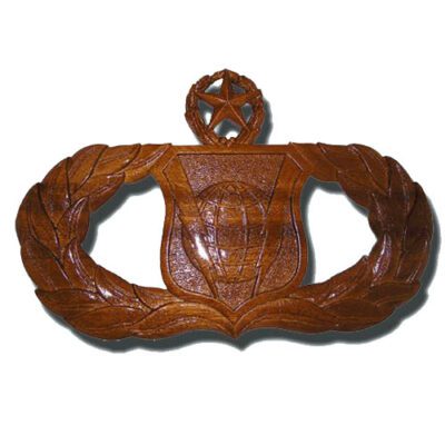 Master Command and Control Badge Insignia Plaque | U.S. Federal ...